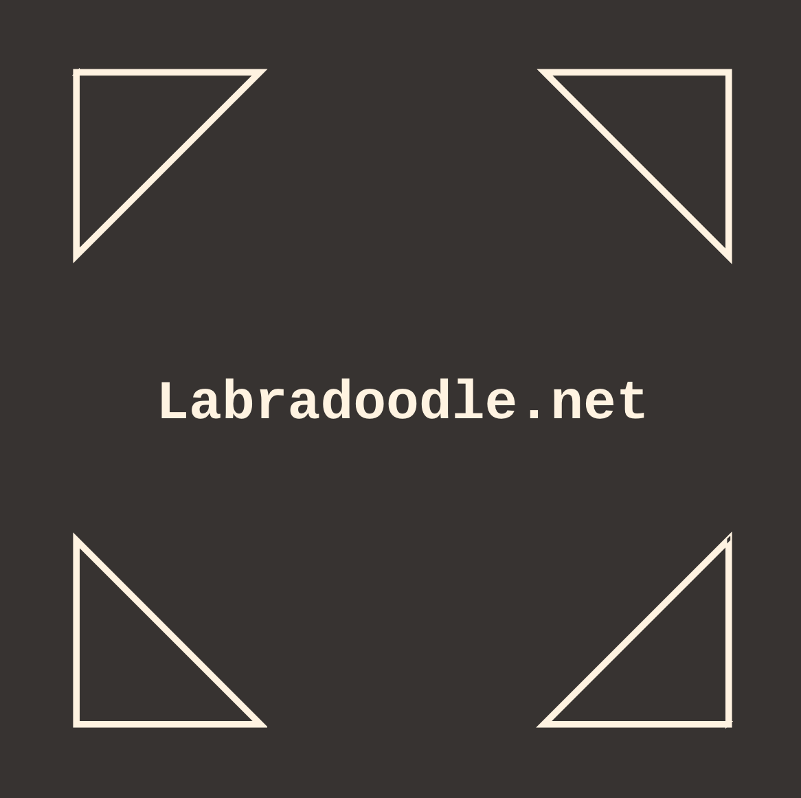 Brandable Domain Name Sold By Brand Names Inc. – BrandNames.net